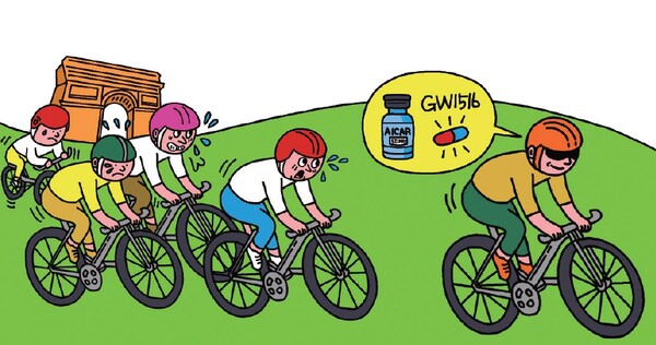 [ NIE논술 ] 'Exercise drug' that makes you stronger just by eating - Archyde