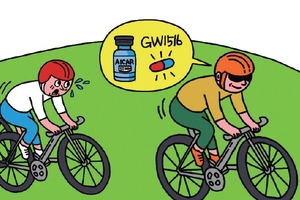 [ NIE논술 ] 'Exercise drug' that makes you stronger just by eating - Archyde